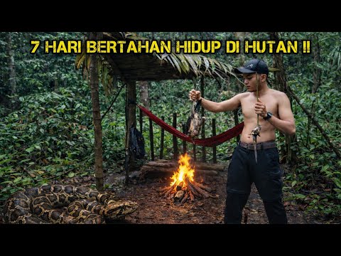 7 HARI BERTAHAN HIDUP DI HUTAN | SOLO SURVIVAL | SENDIRI DI HUTAN | SOLO CAMPING ADVENTURE !! PART 1