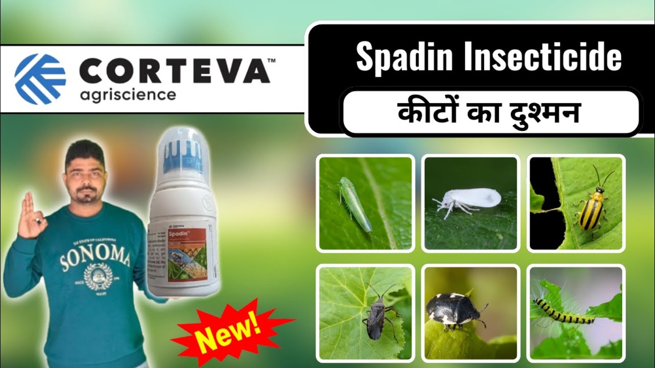Spadin Insecticide । Corteva Spadin Insecticide ।Sulfoxaflor 11.4%SC ...
