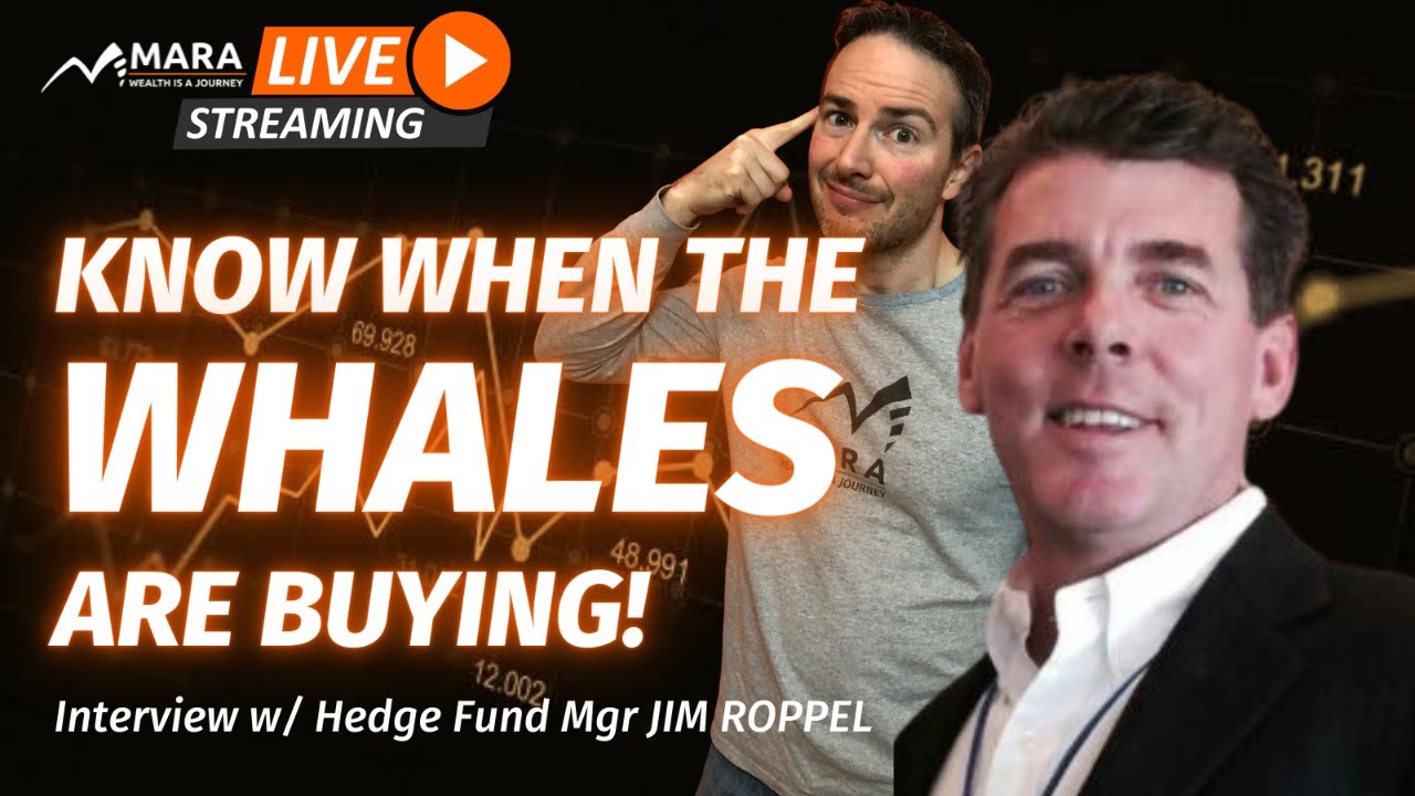 Know When The WHALES Are BUYING! Interview w/ Hedge Fund Manager JIM ...