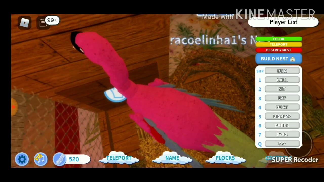 Roblox Feather Family . FEATHER FAMILY UPDATE - YouTube