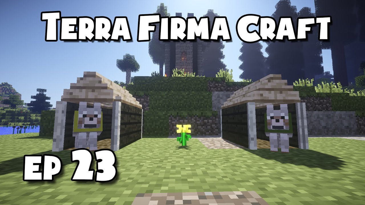 Minecraft TerraFirmaCraft - #23 - In The DogHouse - YouTube