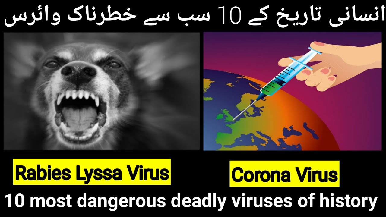 Top 10 most dangerous deadly viruses of history | Research World - YouTube