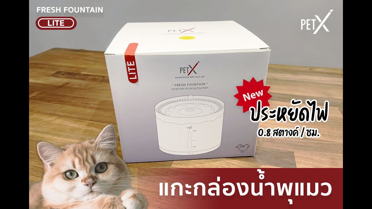 PetX Fresh Fountain "Lite" น้ำพุแมว ประหยัดไฟสุดๆ - YouTube