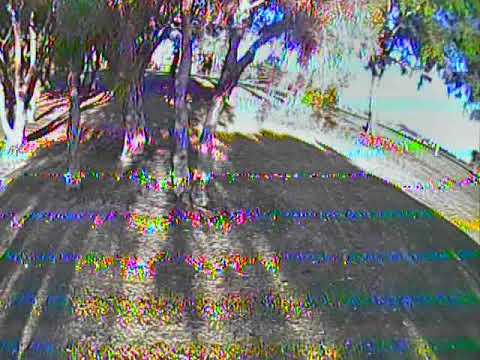 Best Treetop lap - YouTube