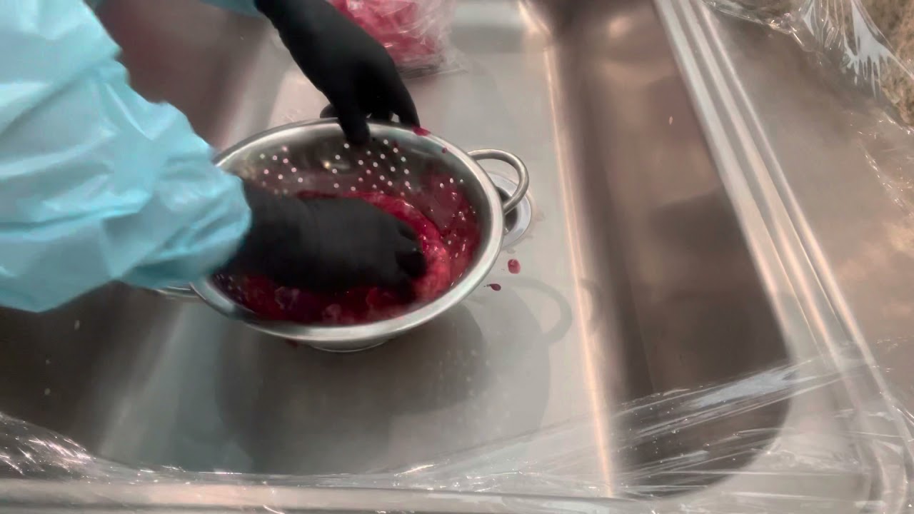 Placenta Encapsulation- STEP BY STEP PROCESS - YouTube