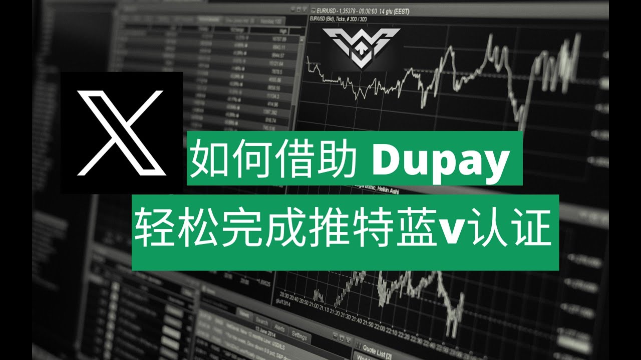 如何借助 Dupay 轻松完成 Twitter 蓝 V 认证 - YouTube