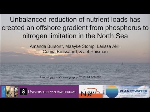 2019 Aquatic Sciences Publications Spotlight - Amanda Burson - YouTube