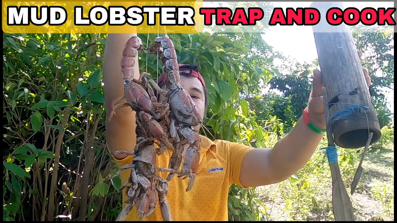 MUD LOBSTER SA LUPA | GINTAAN SA KALABASA | Catch and cook | Buhay ...