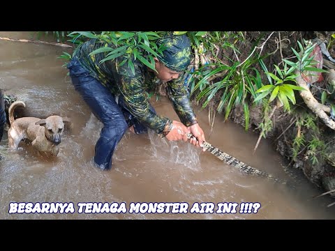 WATER BIG MONITOR FIGHT #shorts #video #viral 