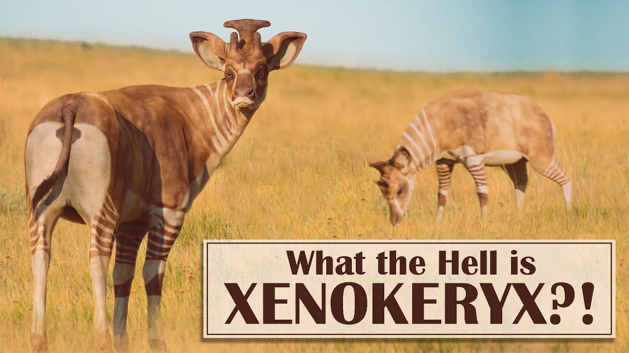What the Hell was Xenokeryx?! - YouTube