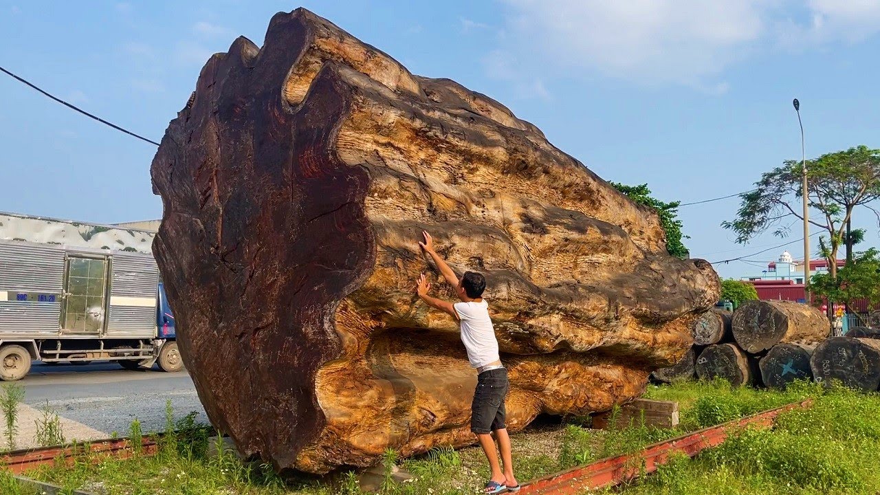 Top 5 Videos World's Largest And Most Expensive Wood Cutting Saw ...