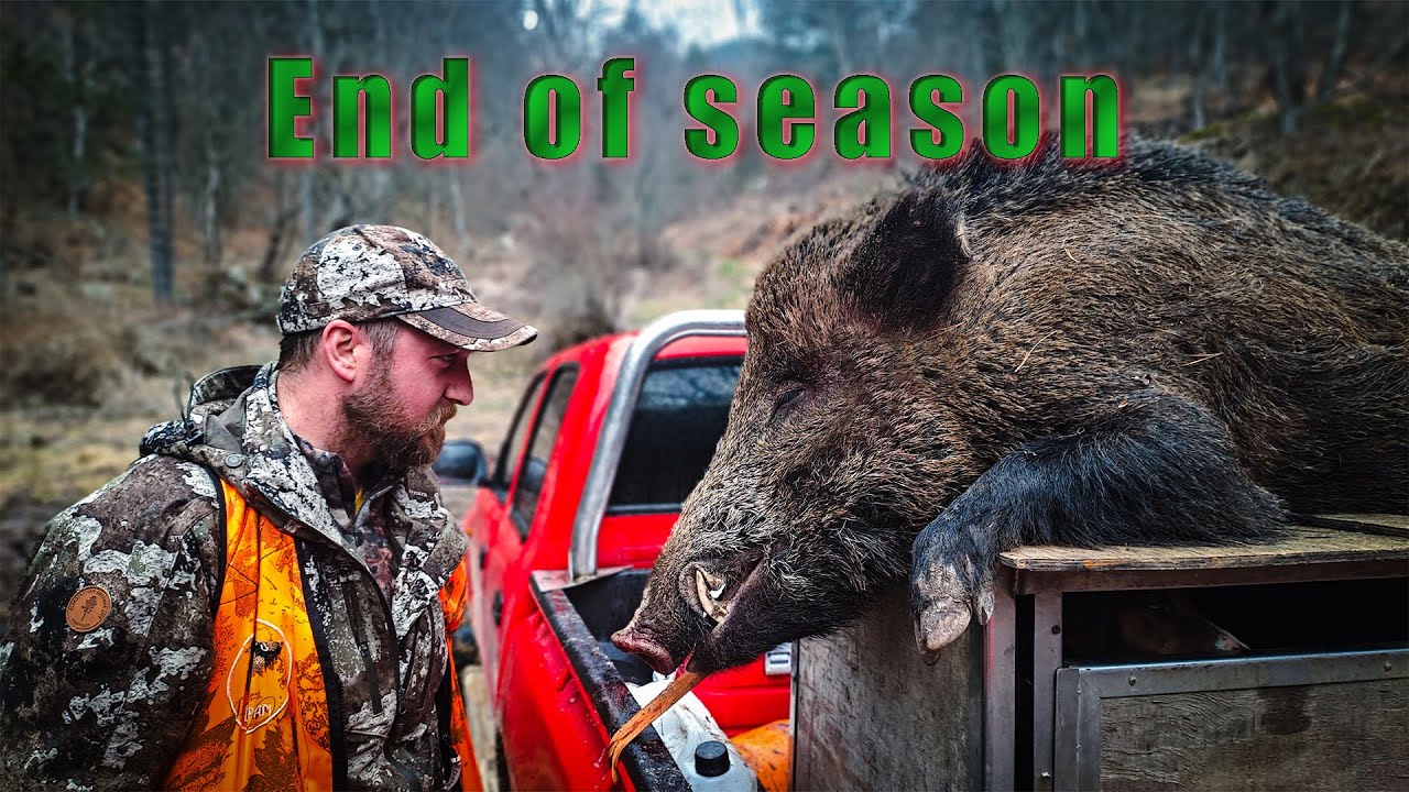 End of hunting season 2023-24 / Trailer - YouTube
