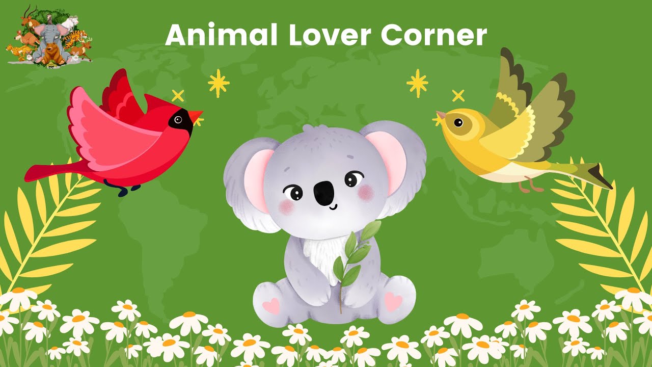 Discover Amazing familiar animals life: Agama lizard, Alpaca, Barracuda ...