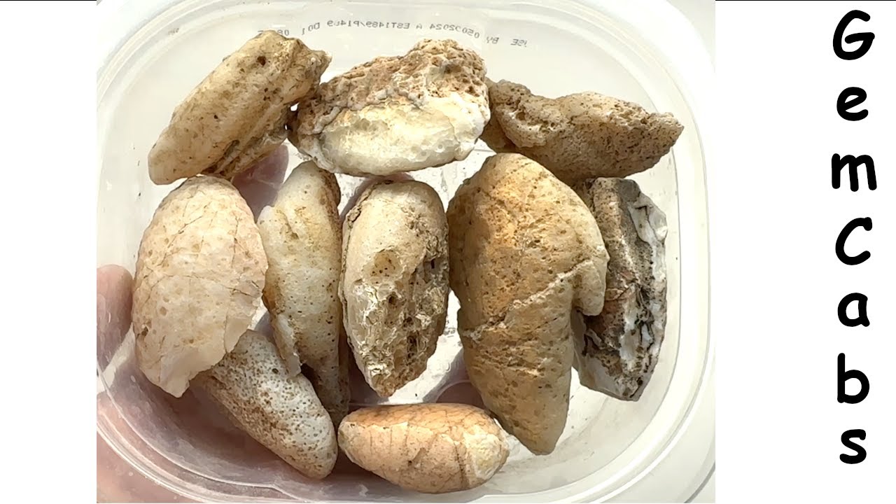 Group of Arizona Gila Bend Mountain Agates Cut Open to Reveal the ...