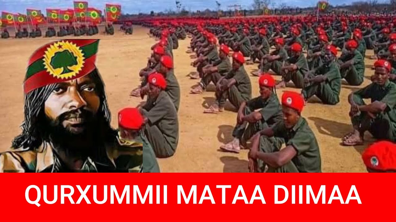 GMN/ 24/2/2024/ EEBBA WBOO ZOONII KIBBAA - YouTube