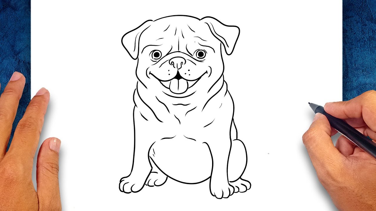 How to draw Pug Easy - YouTube