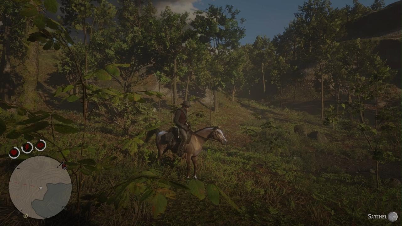 Red Dead Redemption 2_Elysian pool treasure map location - YouTube
