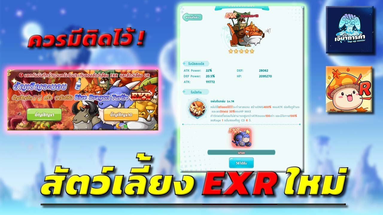 สุ่มสัตว์เลี้ยง EXR Blue Dragon Turtle ใหม่ ! MapleStory R: Evolution ...