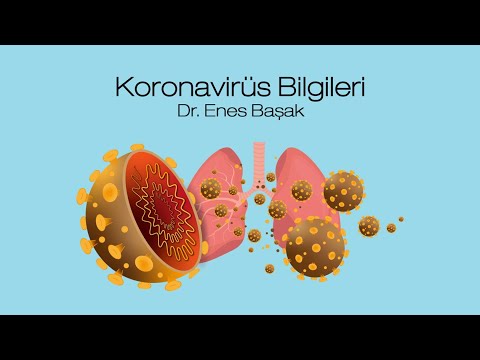 Koronavirüsten Korunma Önerileri