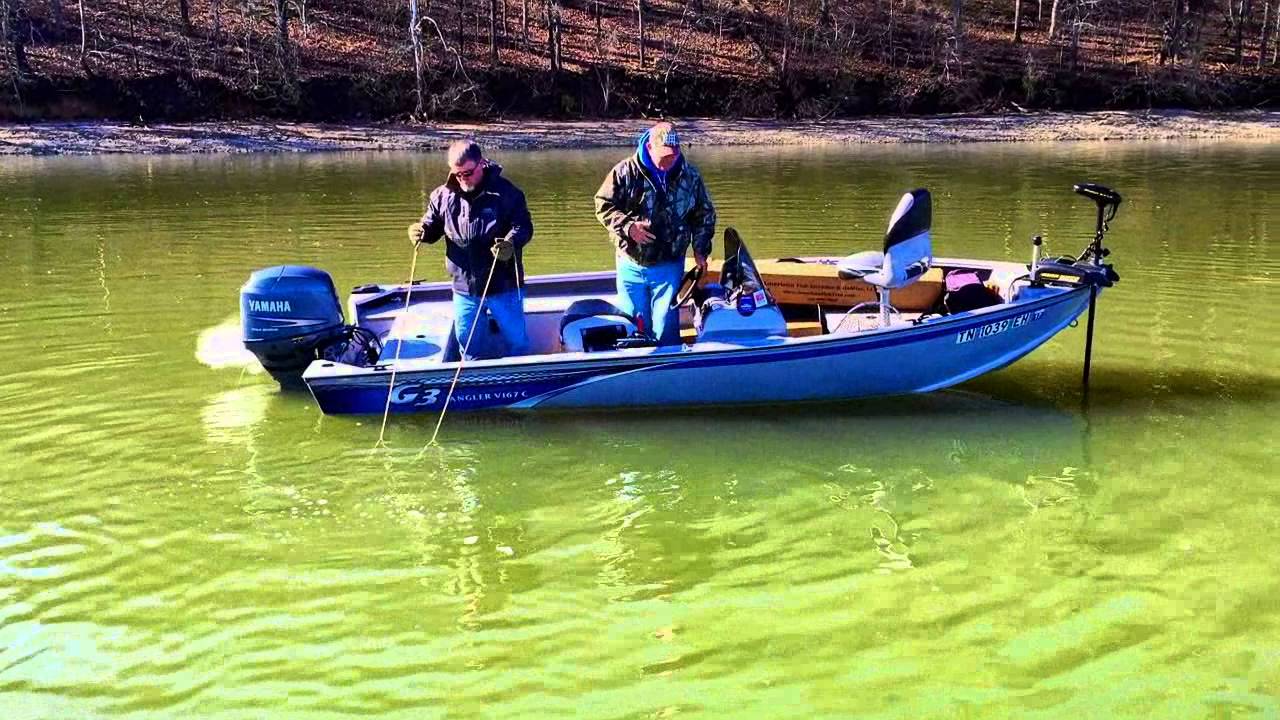 American Fish Tree Placement - YouTube