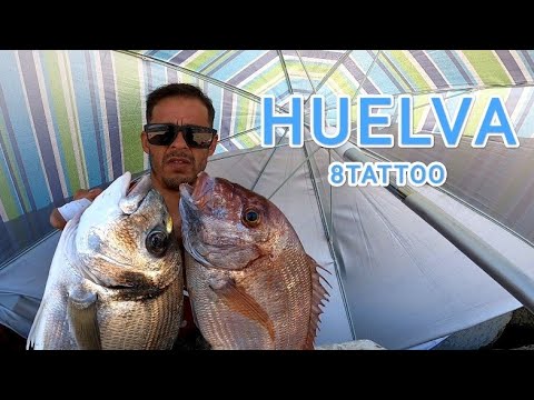 💥INCREÍBLE DOBLETE DE PARGO Y DORADA💥surfcasting 8TATTOO (HUELVA) DESDÉ PIEDRAS🪨