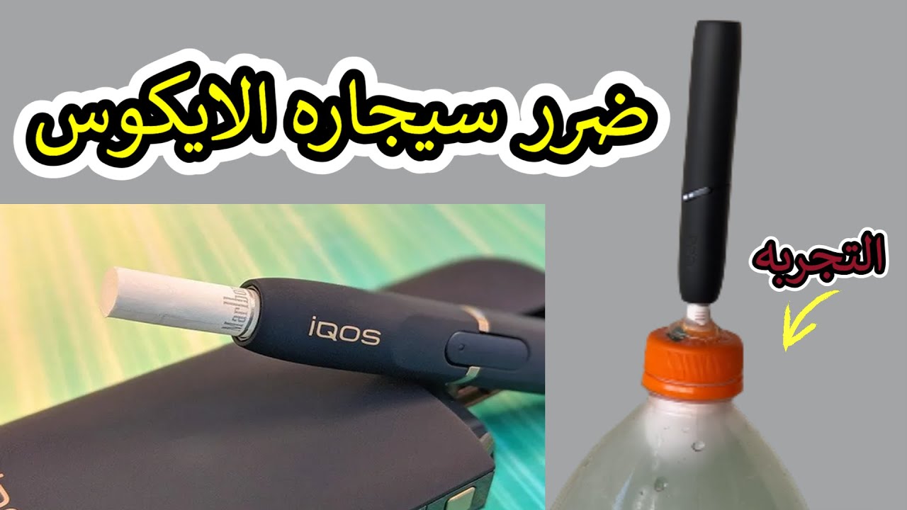 ضرر سيجاره الايكوس على رئه الانسان بالدليل ايقوس ايكوسسيجارهاضرارالتدخين Youtube