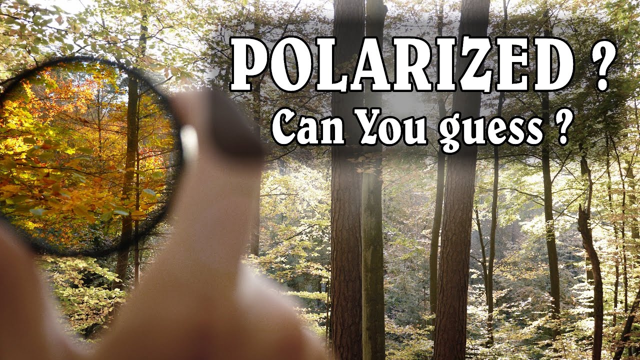 Photos with and without polarizing filter use. No name cheapest filter ...