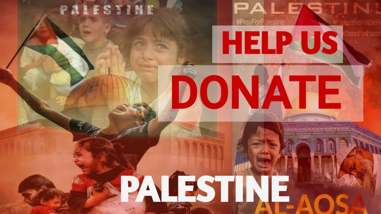 Where To Donate For Palestine 2021 || HELP PALESTINE || - YouTube