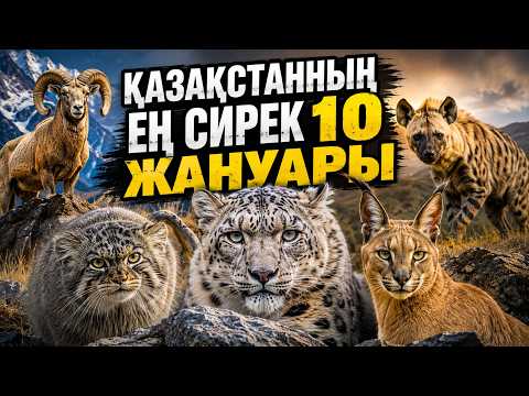 ҚАЗАҚСТАННЫҢ ЕҢ СИРЕК 10 ЖАНУАРЫ | Сіз олардың бар екенін білдіңіз бе?