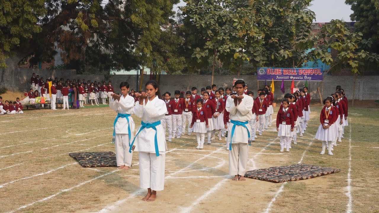karate demonstration. 🥋🇮🇳 | matrix karate academy | Blue Bell School ...