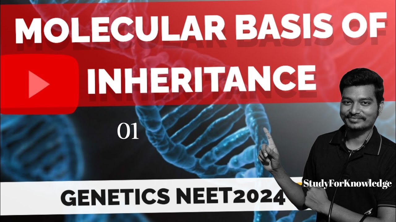 Genetics | Molecular Basis Of Inheritance class 12 😍|#animation |# ...