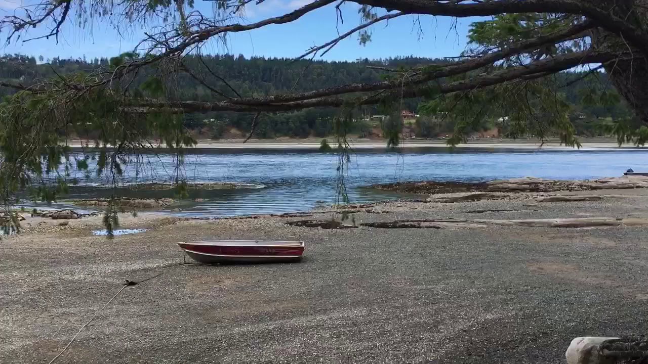 Welcome to Davidson Bay on MAGICAL MUDGE ISLAND 💦 - YouTube