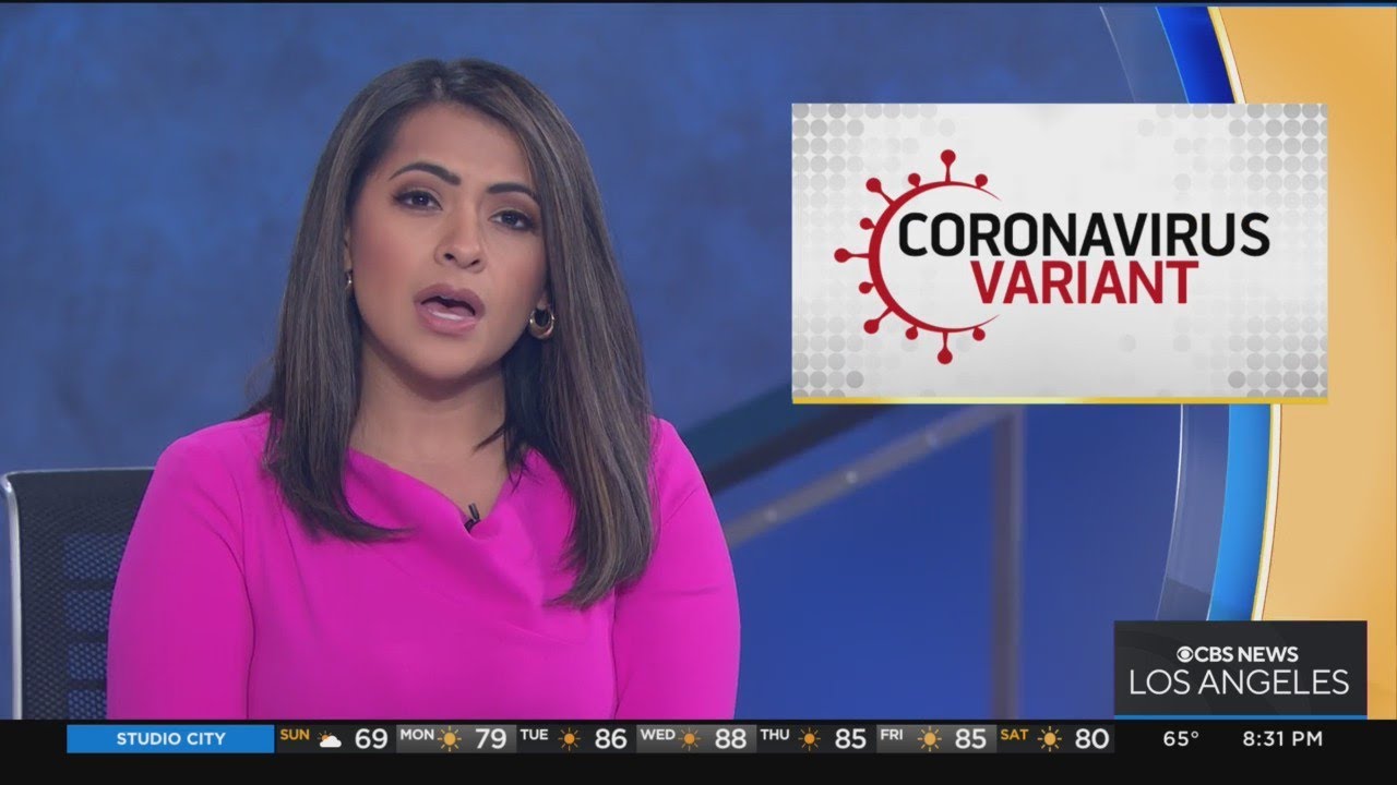 What is the Ba.2 variant, and Should Americans be Worried? An Expert ...