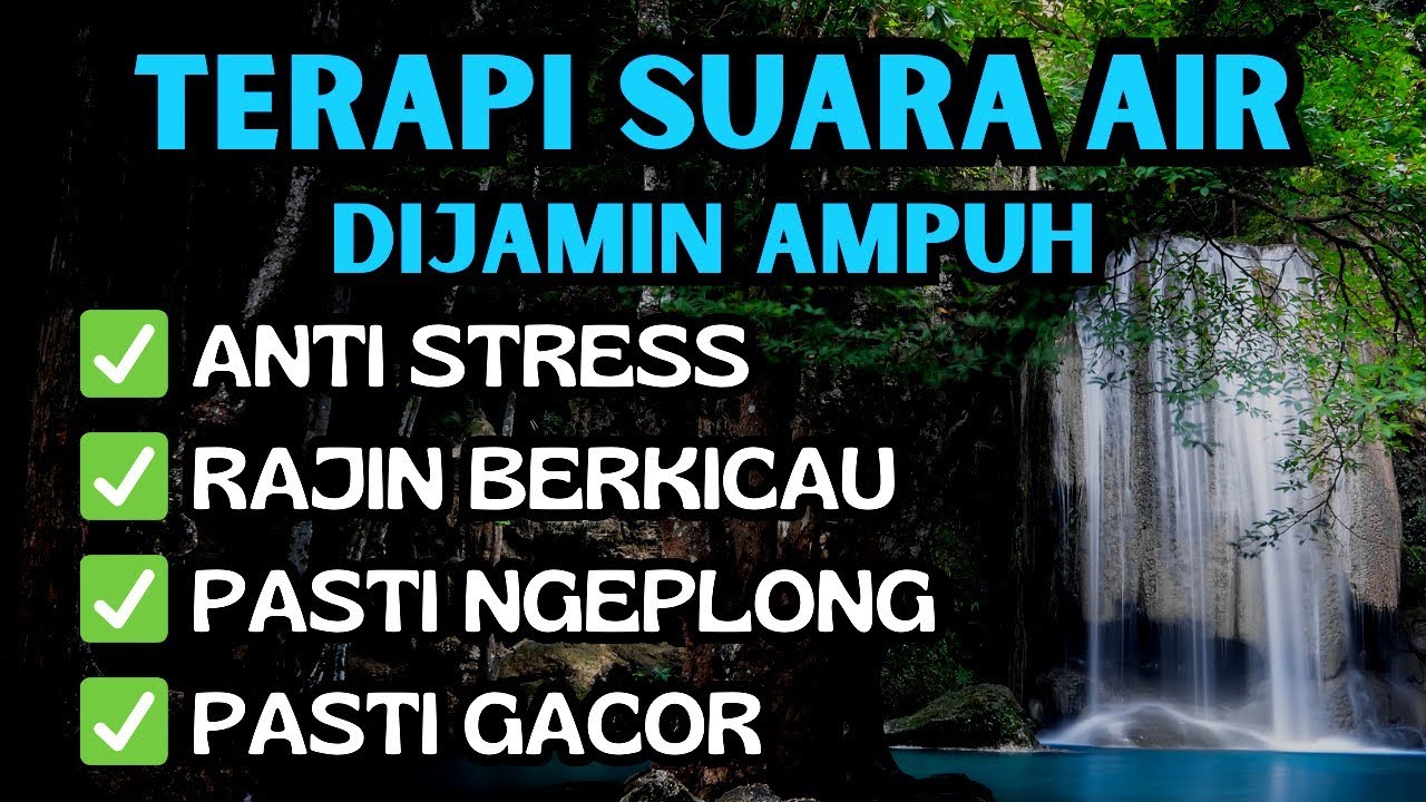 ANTI Macet‼️Suara Air Gemericik, Terapi Air, Suara Air Terapi Burung ...