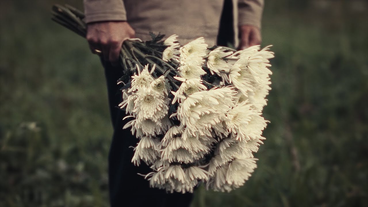 STINKY Release 5th Single/Music Video From Their Forthcoming New Album ...