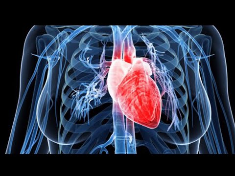 Female Heartbeat Playing Videogames - YouTube