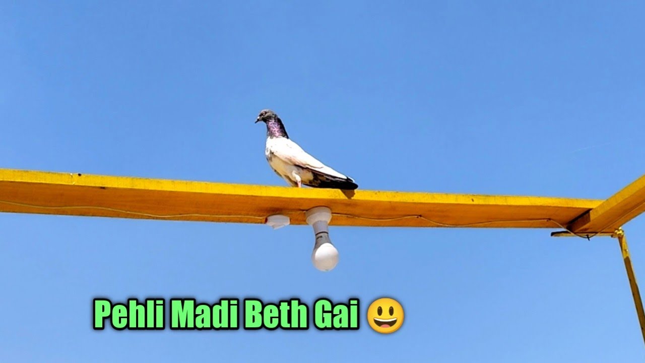 Pehli Madi Beth Gai 🙄 - YouTube