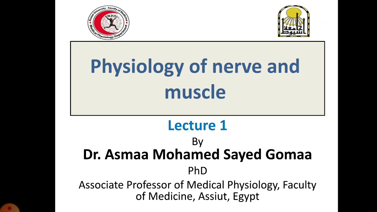 Lecture (1) nerve and muscle for dentist students - YouTube
