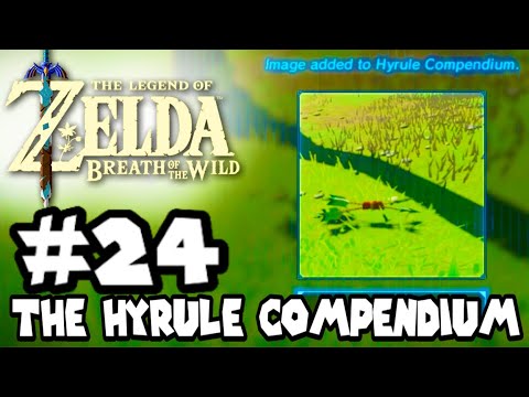 The Legend of Zelda: Breath of The Wild - Part 24 - The Hyrule ...