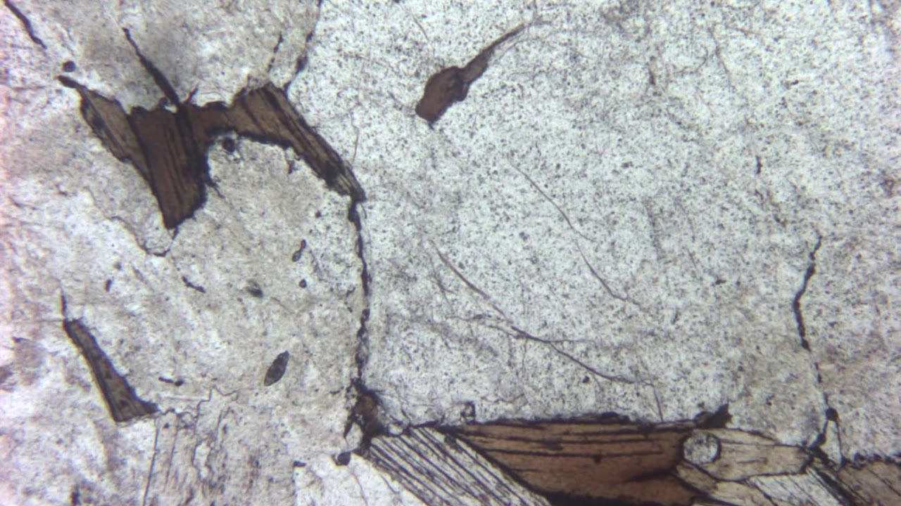 Granite à deux micas au microscope polarisant (LPNA) - YouTube