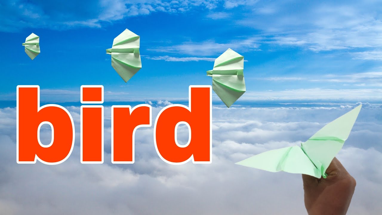 how to flying bird airplane ️ ️ , - YouTube