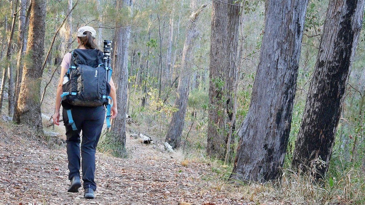 Photographing the Australian Bush with the Panasonic 24-105mm - YouTube