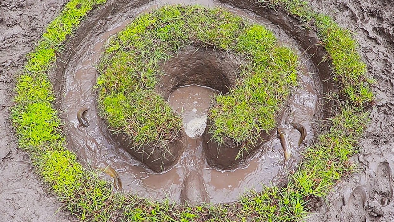 Unique Fish Trapping System Using Deep Hole Catch A Lot Of Fish - YouTube