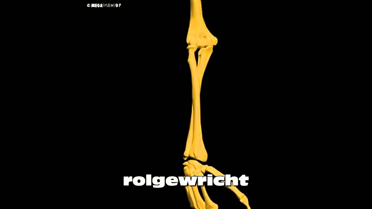 De gewrichten in het skelet - YouTube