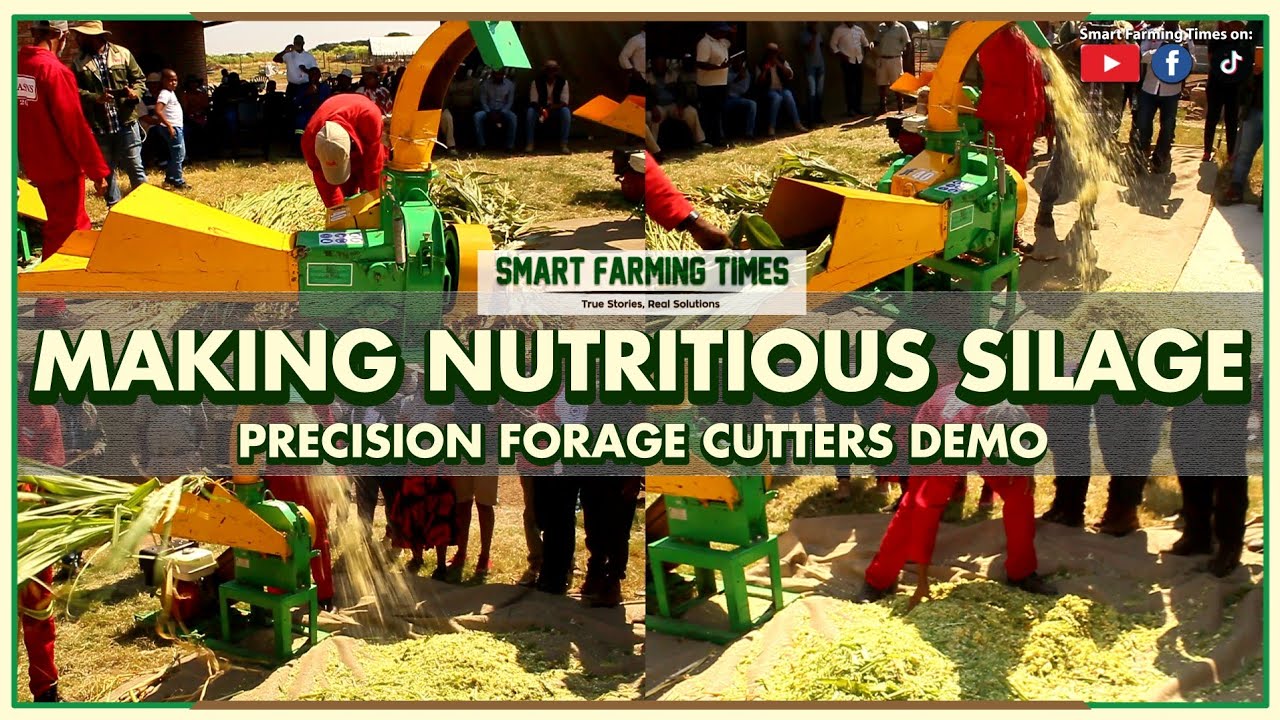 Silage Day 2023 Precision Forage Cutters - YouTube