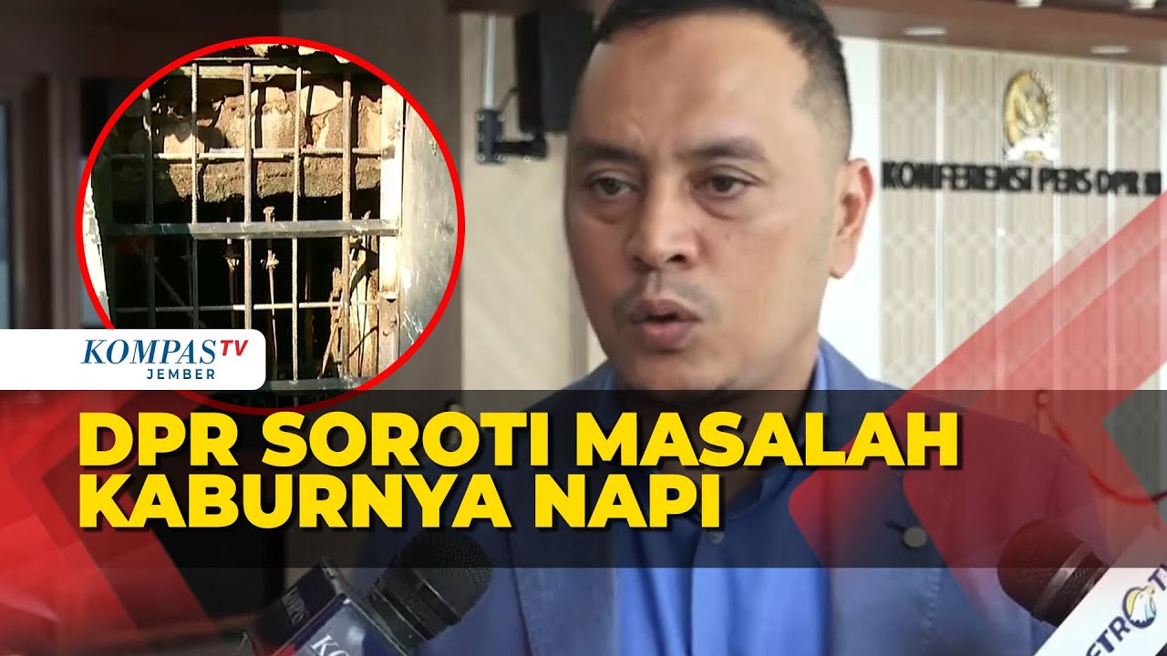 DPR Soroti Kaburnya Napi dari Rutan Salemba! - YouTube