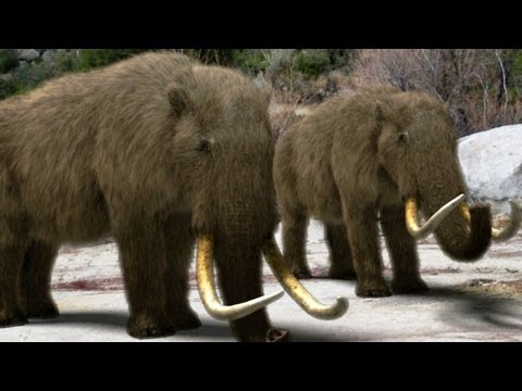 Mammoths Hunted for their Hides - YouTube