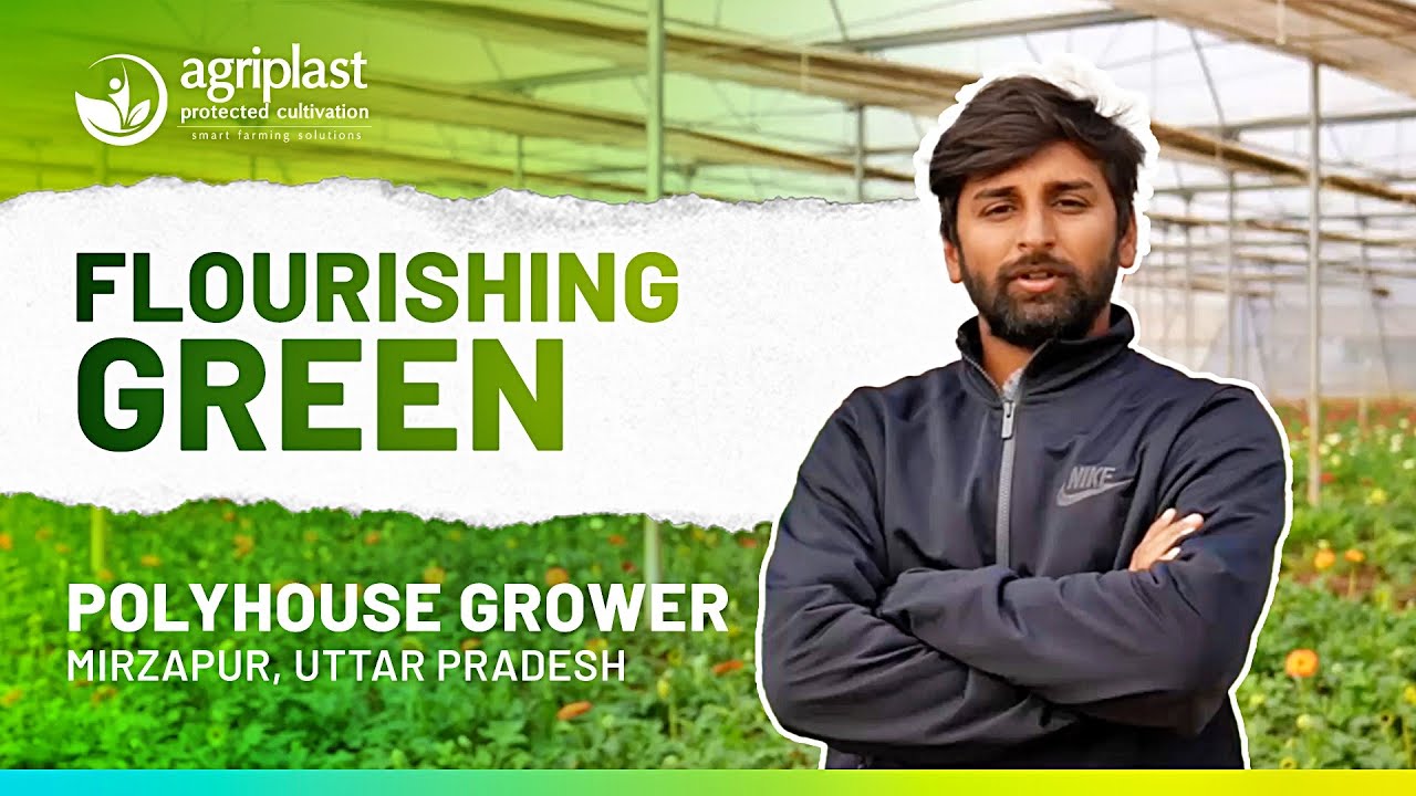 The Flourishing Green: Balesh Pratap Singh's Success Story with ...