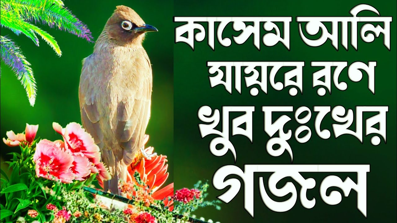 কারবালার গজল ২০২৩। Karbala Gojol 2023।New Gojol। নতুন গজল ২০২৩। Gojol ...