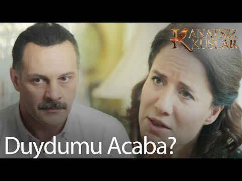 Muzaffer, Nefise ve Azime'nin konuştuklarını duydu! - Kanatsız Kuşlar 19. Bölüm